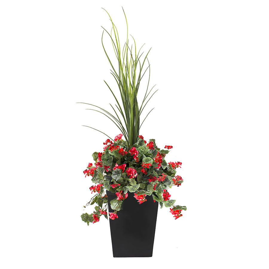 Jardinières en pot - Arrangement floral Géranium rouge | Club Piscine ...