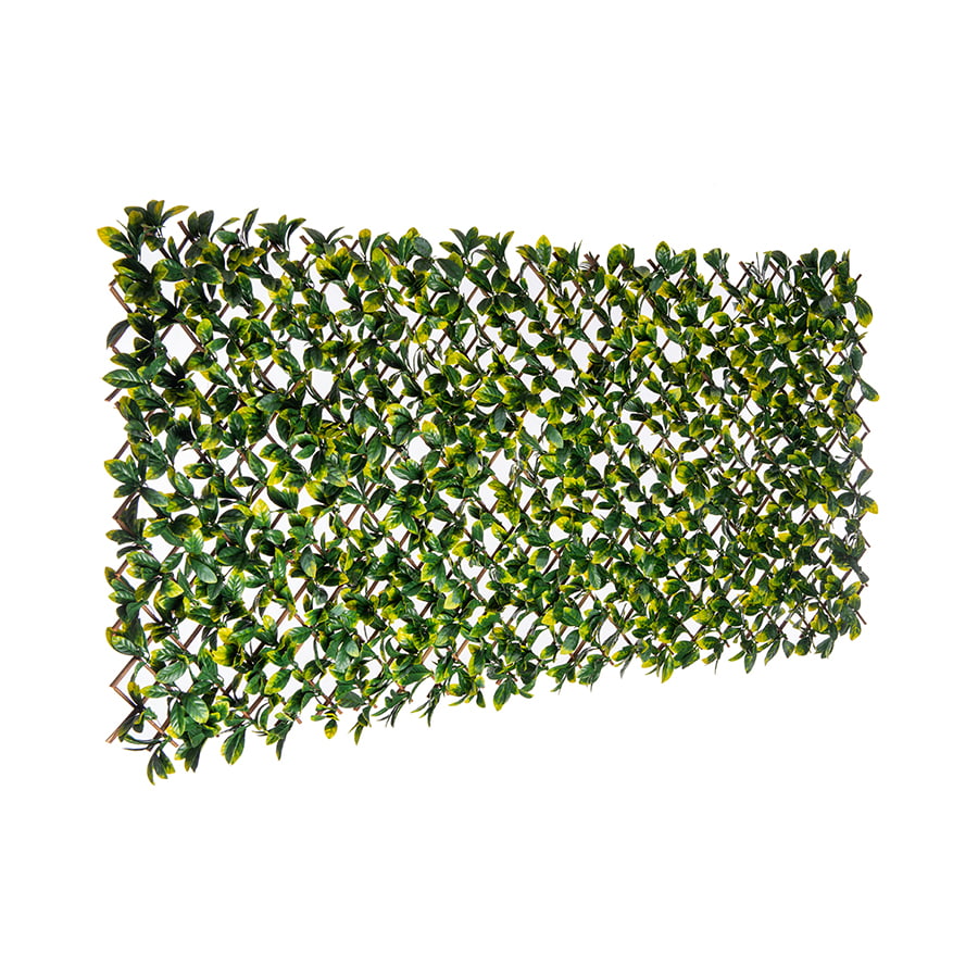 Treillis de saule extensible 40 po x 80 po | Club Piscine Super Fitness